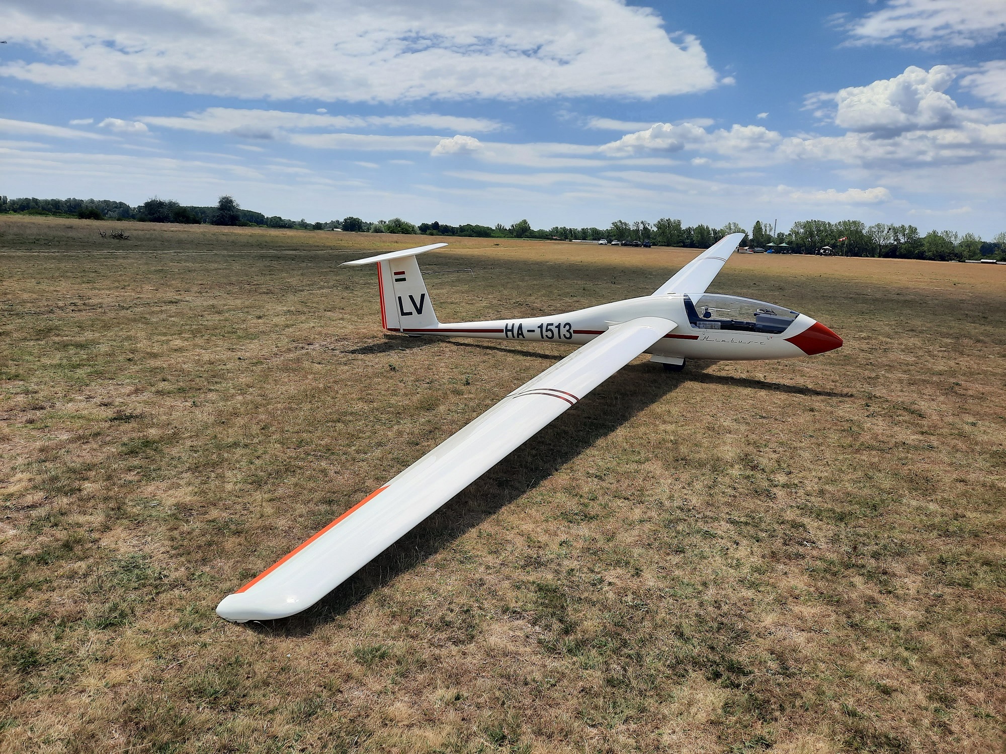 Excelent Mini Nimbus C Carbon | Oh My Glider